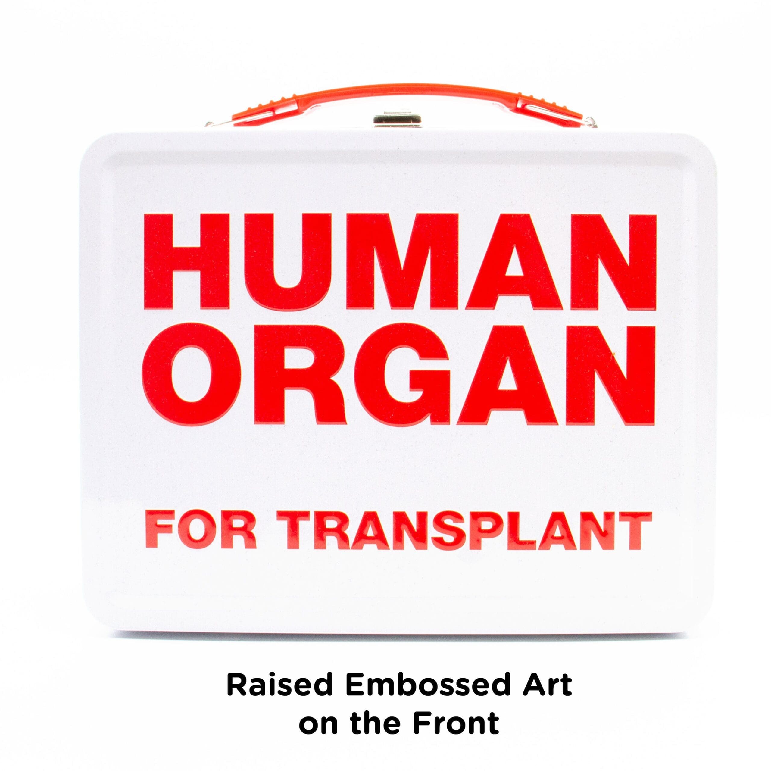 Human Organ Large Fun Box - NMR