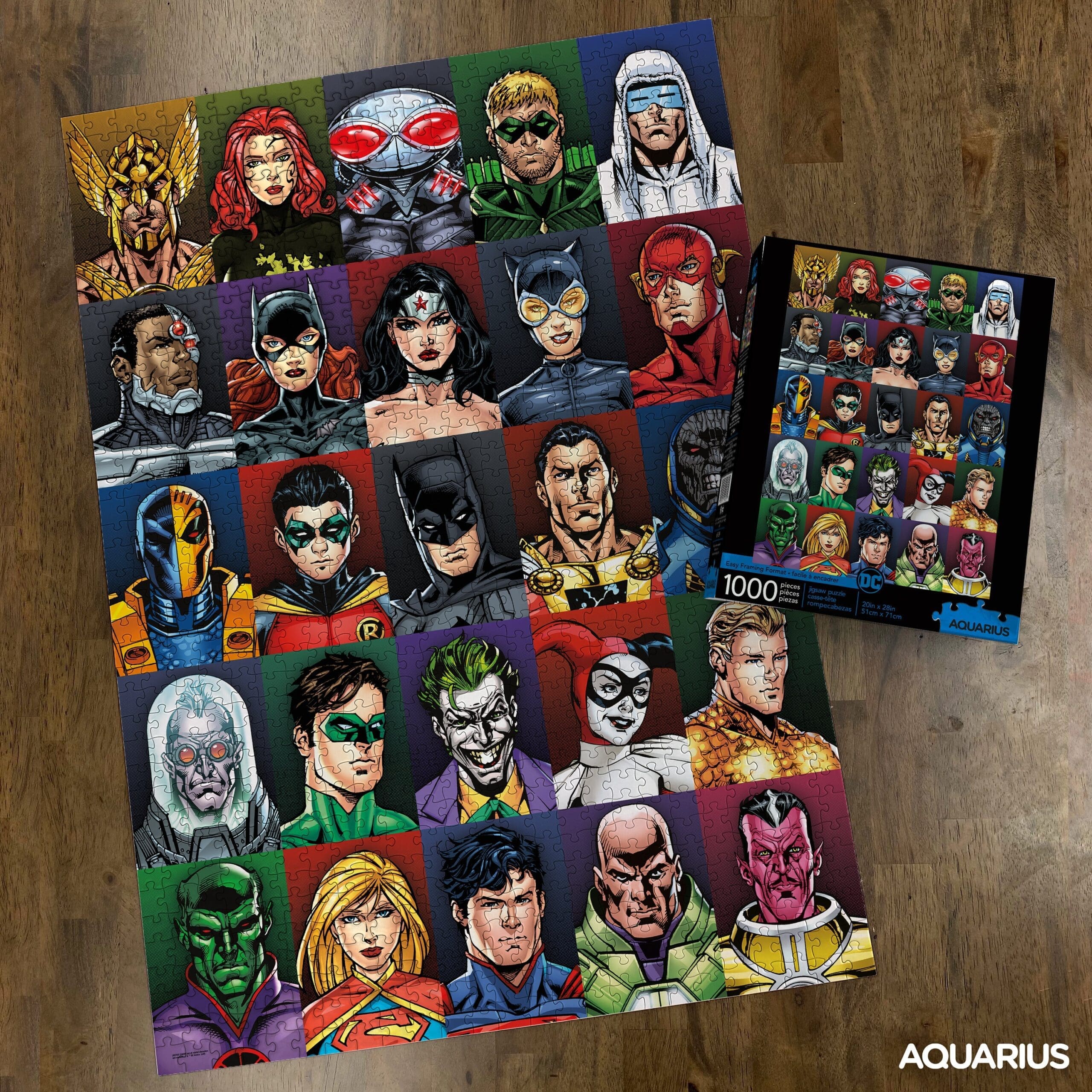 DC Faces 1000 Piece Jigsaw Puzzle - NMR