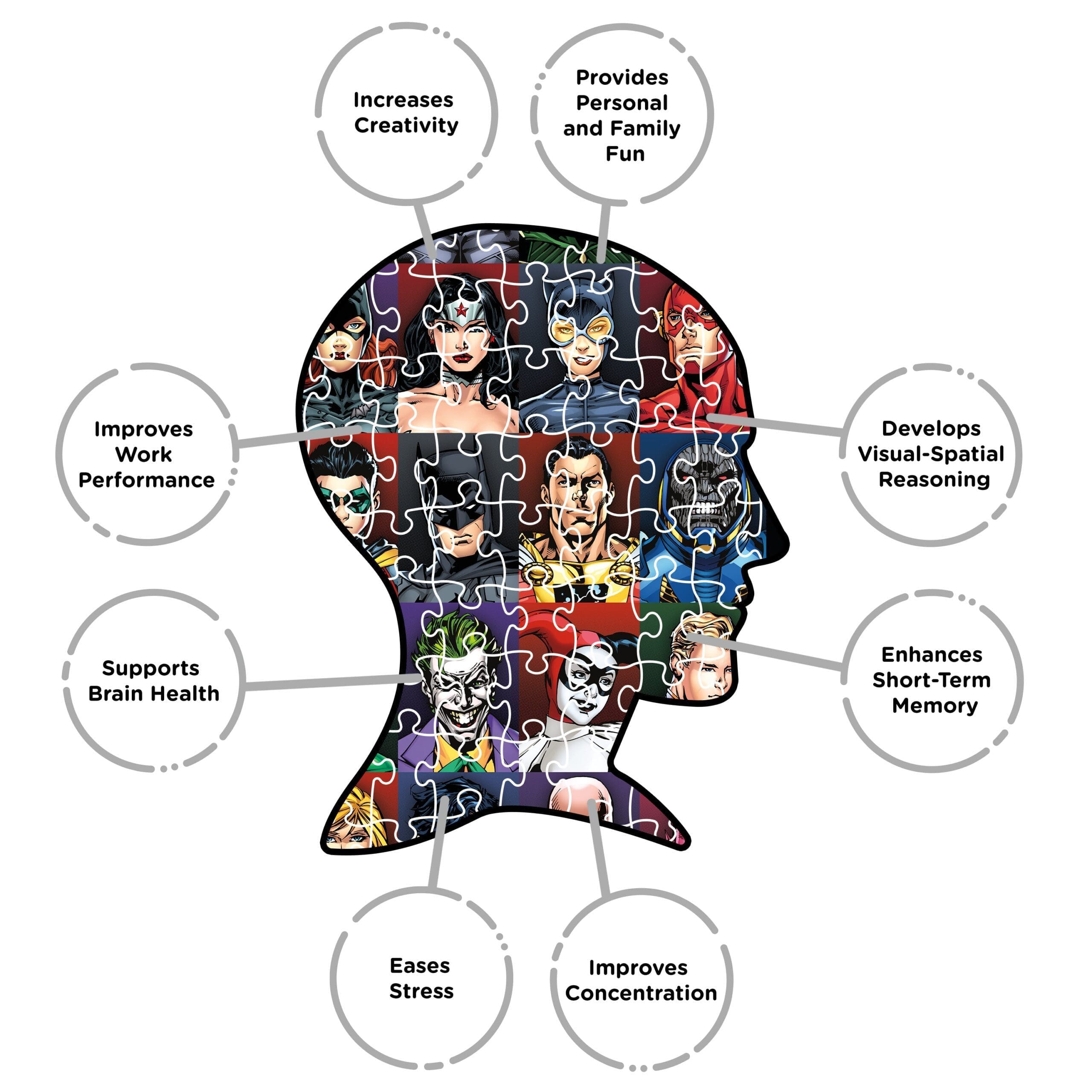 DC Faces 1000 Piece Jigsaw Puzzle - NMR