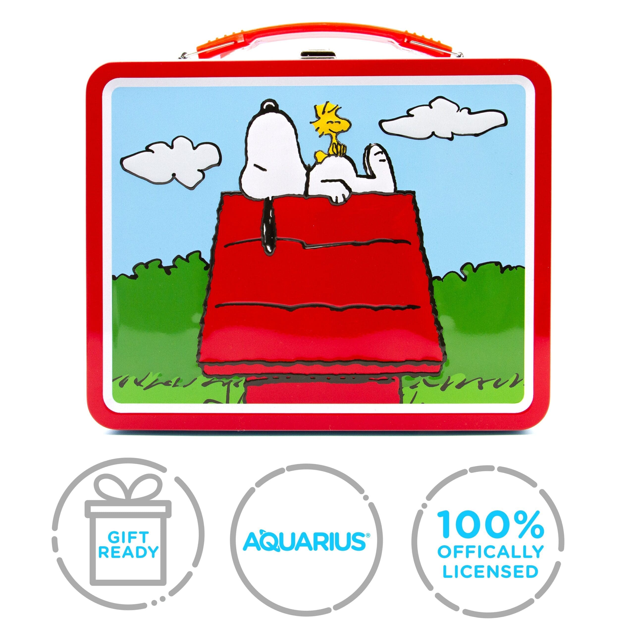 Peanuts Snoopy Fun Box - NMR