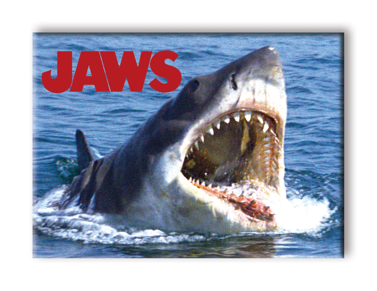 JAWS – In Water Flat Magnet (2.5″ x 3.5″) - NMR