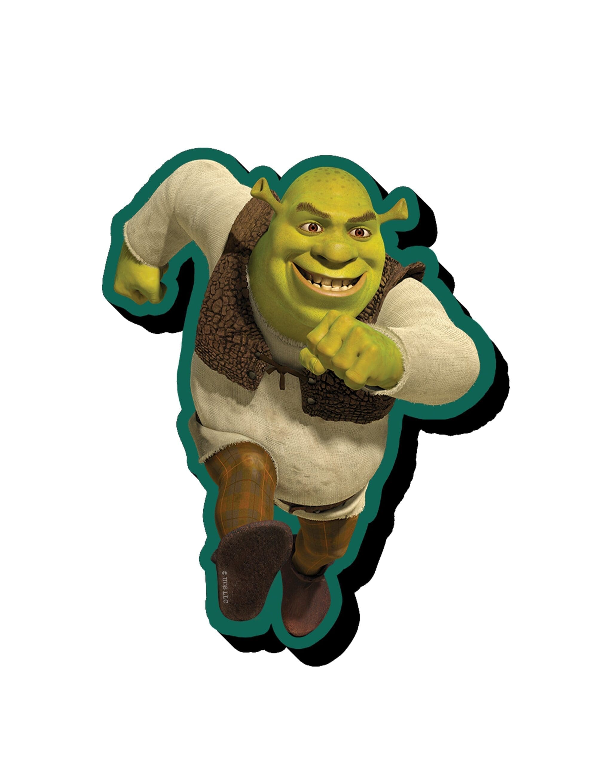 Shrek Funky Chunky Magnet - NMR Shrek Funky Chunky Magnet - NMR