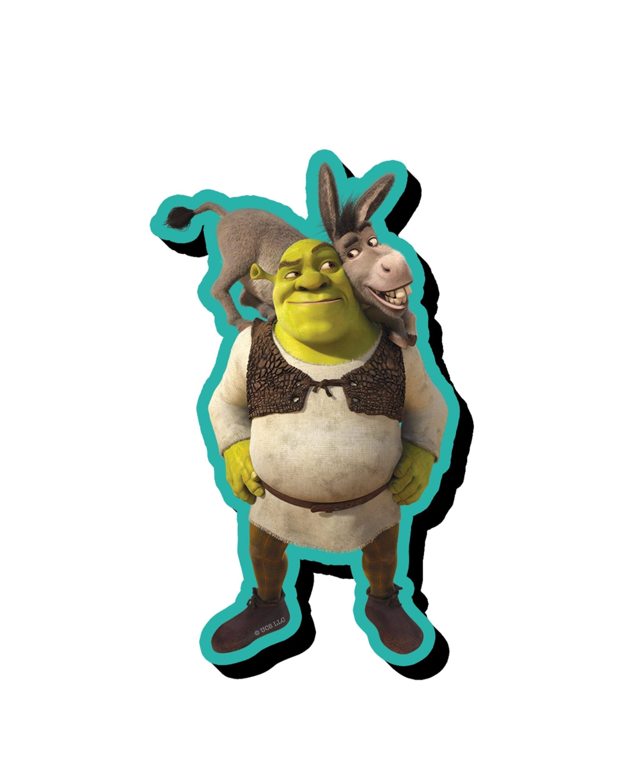 Shrek & Donkey Funky Chunky Magnet - NMR